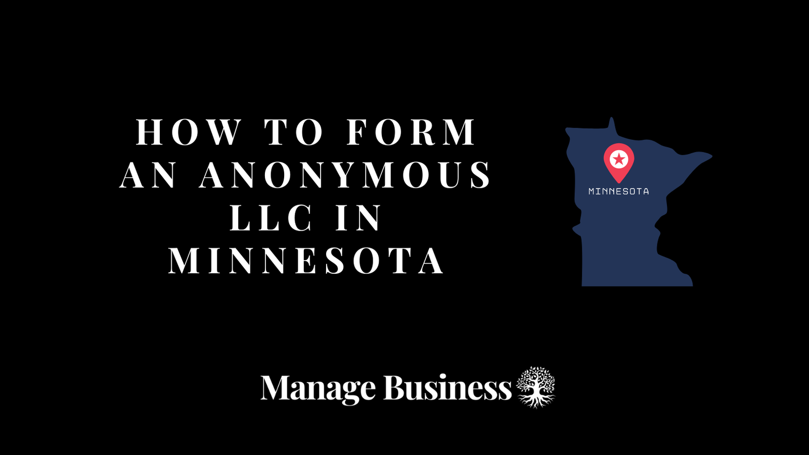 How to Form an Anonymous LLC in Minnesota for 2024 - Manage Business
