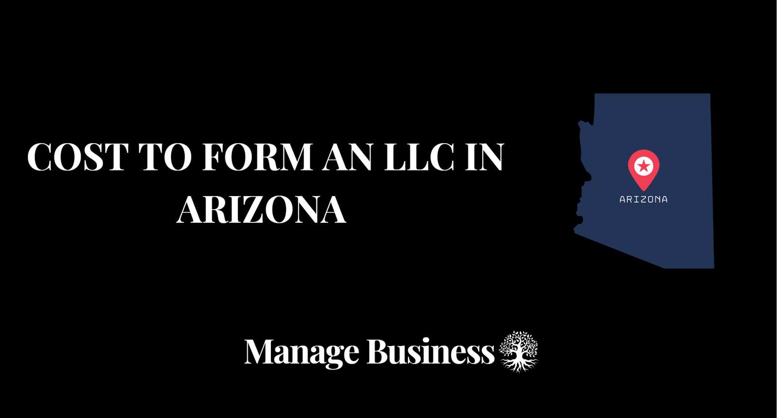 How Much Does it Cost to Form an LLC in Arizona in 2024 - Manage Business