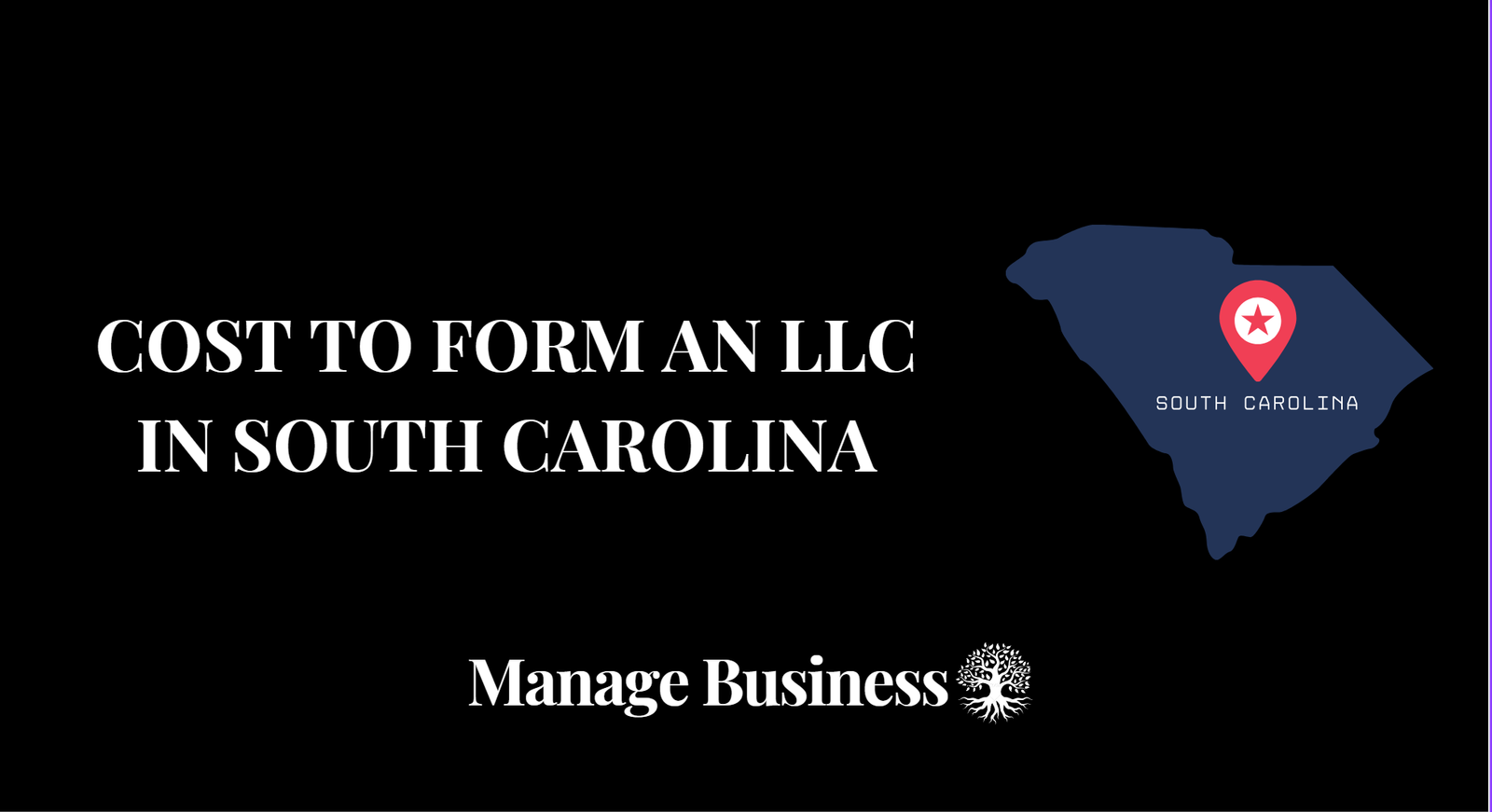 Cost to Form an LLC in South Carolina: SC LLC Cost Guide - Manage Business
